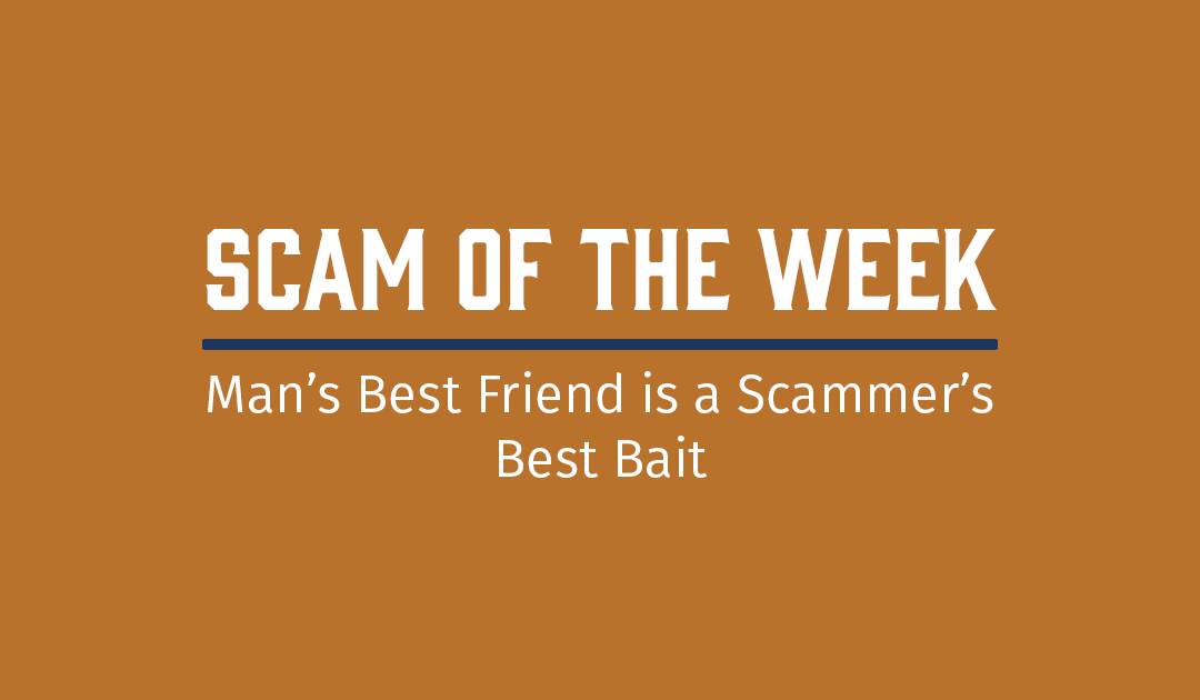 Scam Awareness Archives - Page 2 of 3 - Points West Community Bank